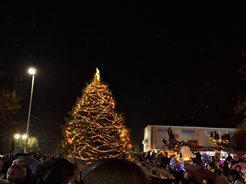 Λαμπερή φωταγώγηση του Χριστουγεννιάτικου Δέντρου στην Ελασσόνα – Μια ...