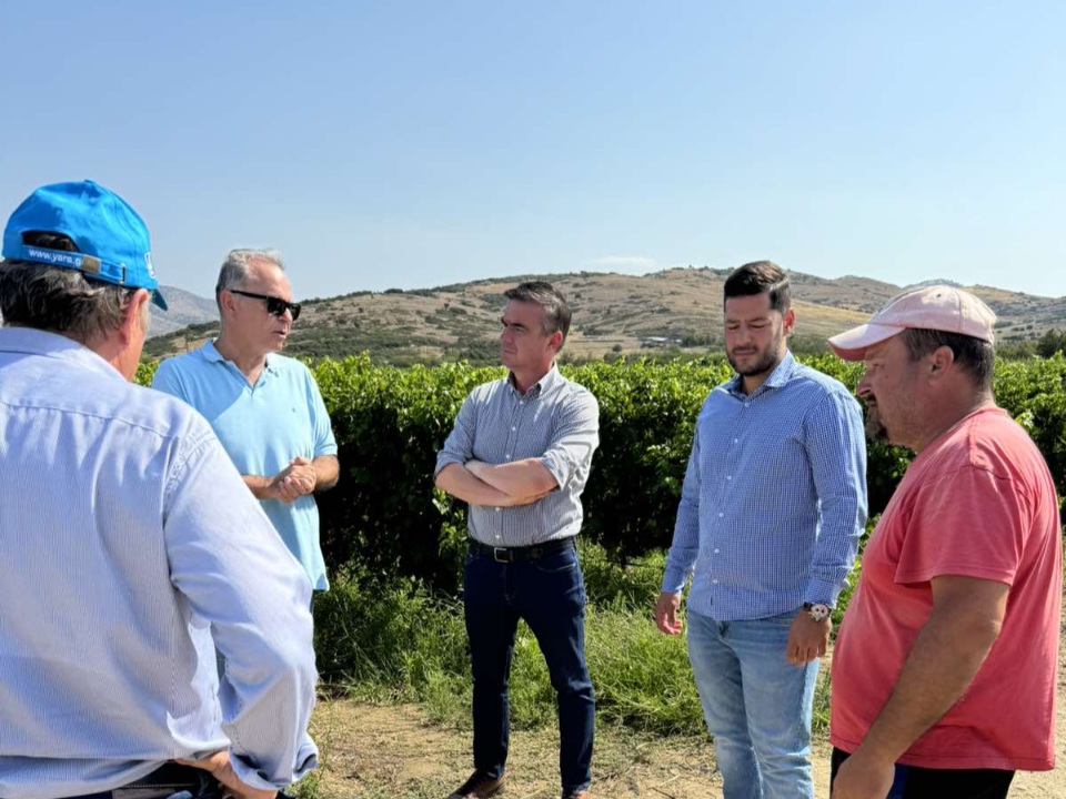 Στο Δαμάσι ο ΕΛΓΑ για την χαλαζόπτωση - Αναγγελία ζημιάς από τον Δήμο ...