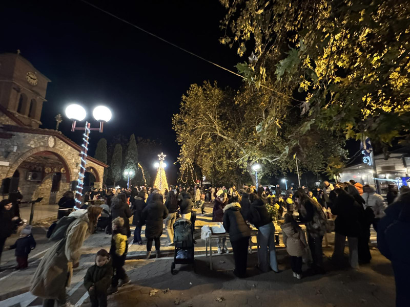 Άναψε το χριστουγεννιάτικο δέντρο στο Αργυροπούλι – Γιορτή με χαμόγελα ...