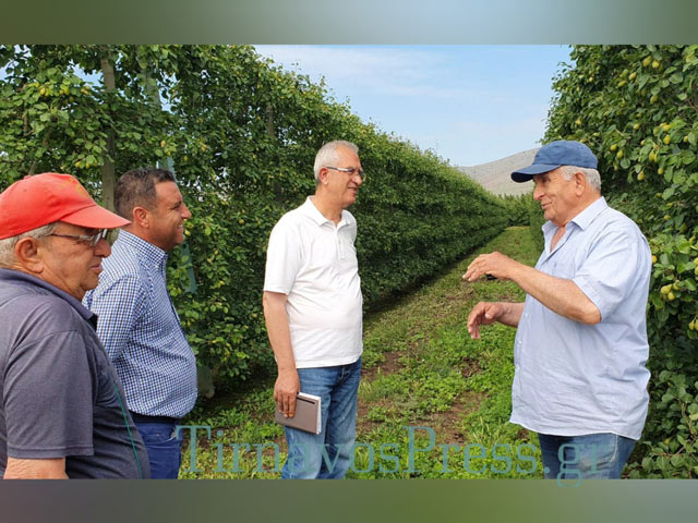 Αυτοψία του ΕΛΓΑ στον Τύρναβο μετά την νέα χαλαζόπτωση - TirnavosPress