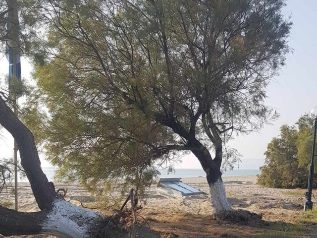 Σοκ: Αυτοκτόνησε 45χρονη στη Λεπτοκαρυά - Βρέθηκε κρεμασμένη στην ...